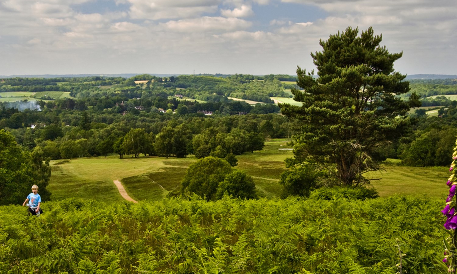 AONB seeks your support | Rye News