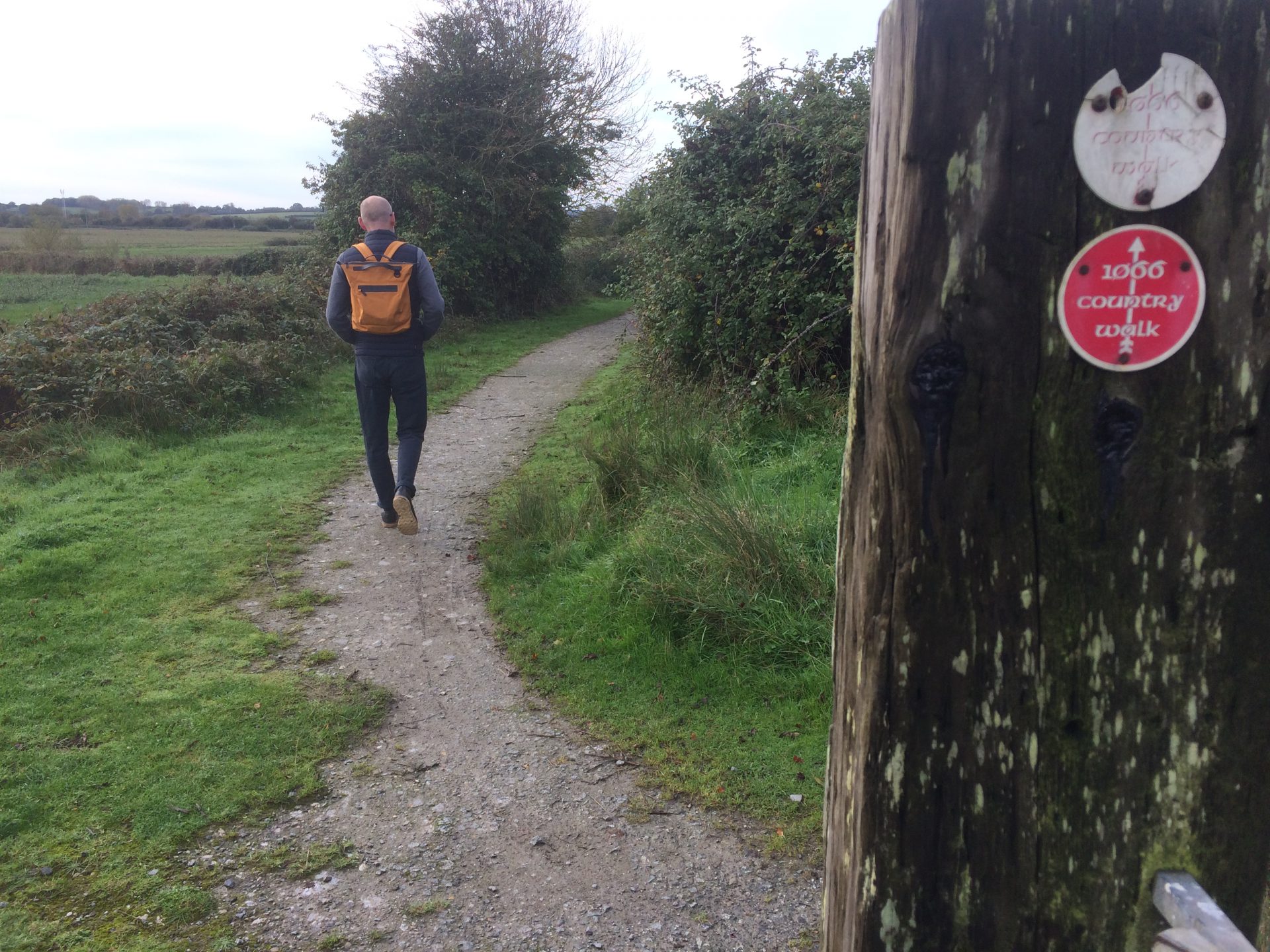 1066 walk upgrade | Rye News