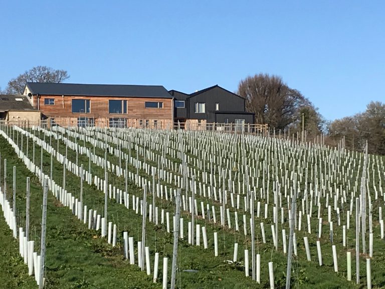 Tillingham Wines, recruiting now | Rye News