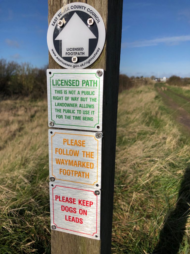 All paths converge, except one | Rye News