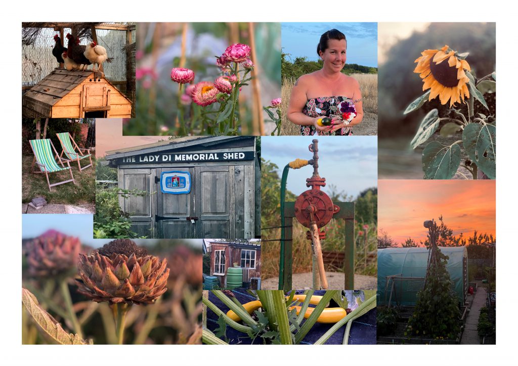 Benefits from your allotment | Rye News