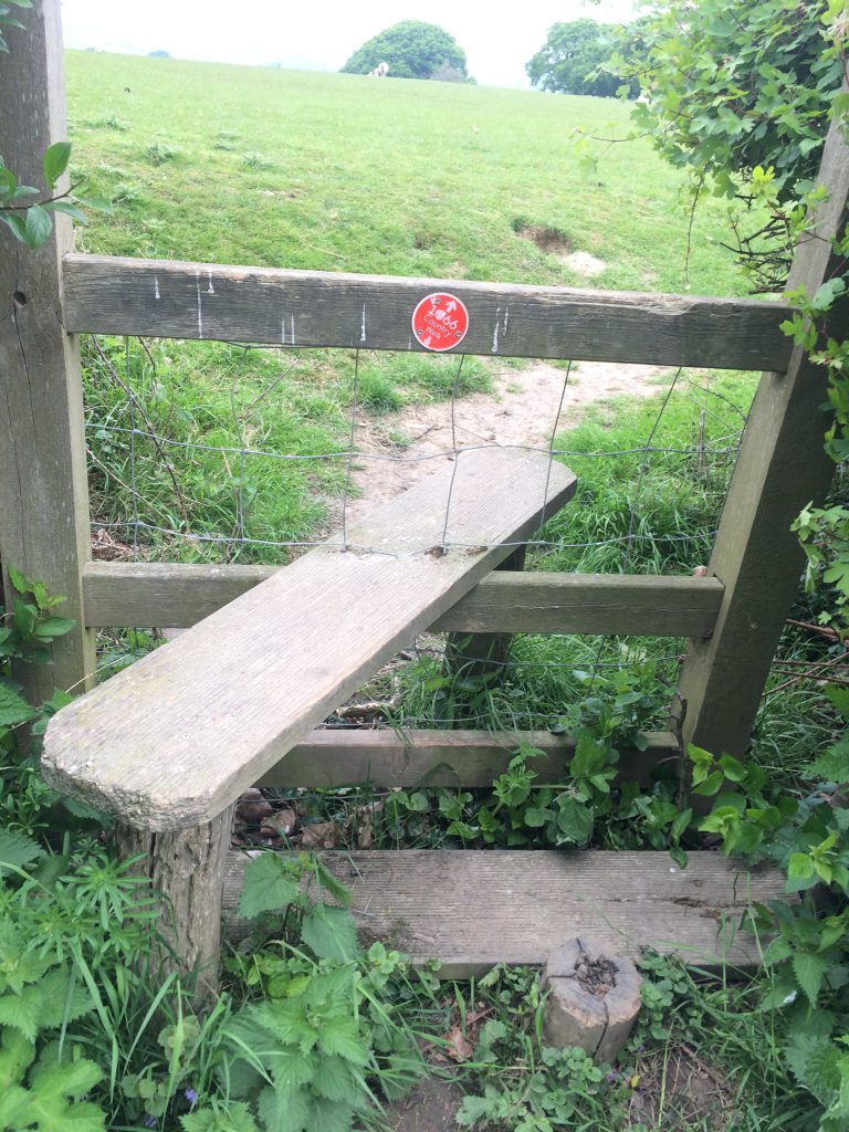 Footpath problems | Rye News