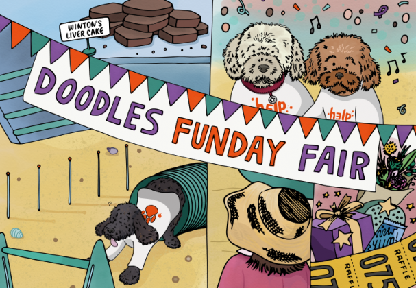 The doodles arrange a charity fun day | Rye News
