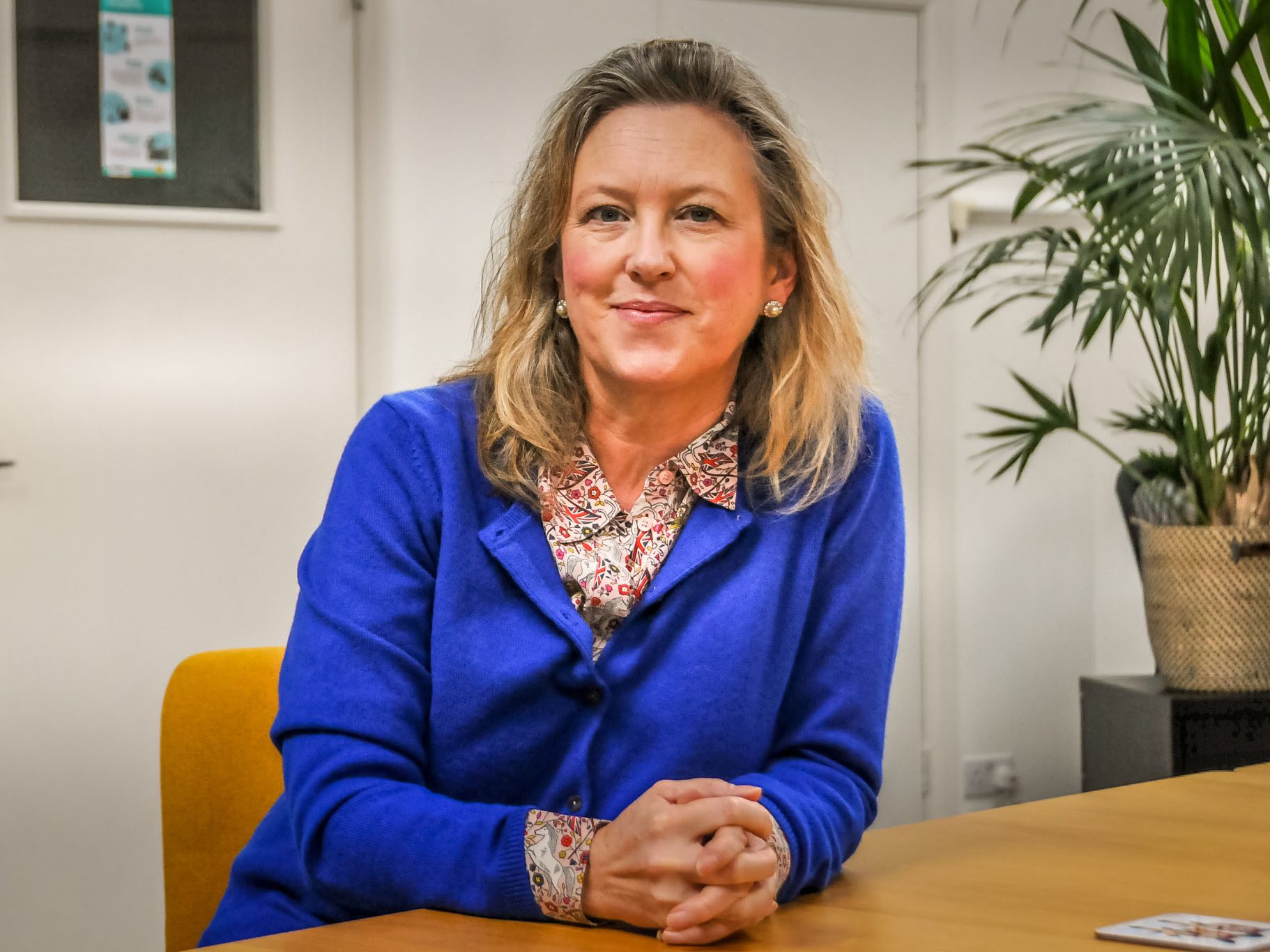 Our MP discusses new PM | Rye News