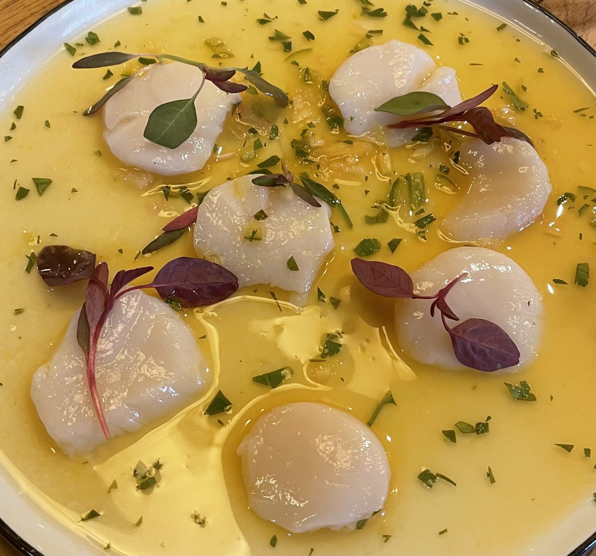 Scallops or “Scollops”? | Rye News