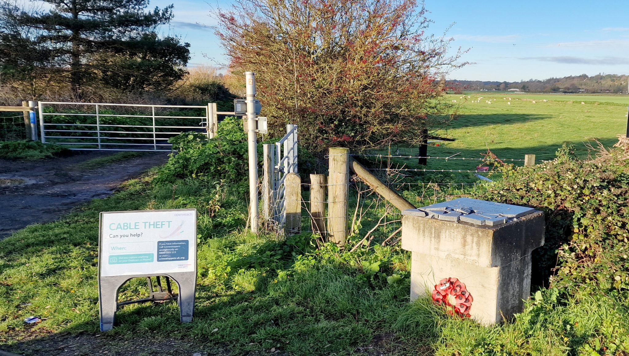 Vandals destroy war memorial | Rye News