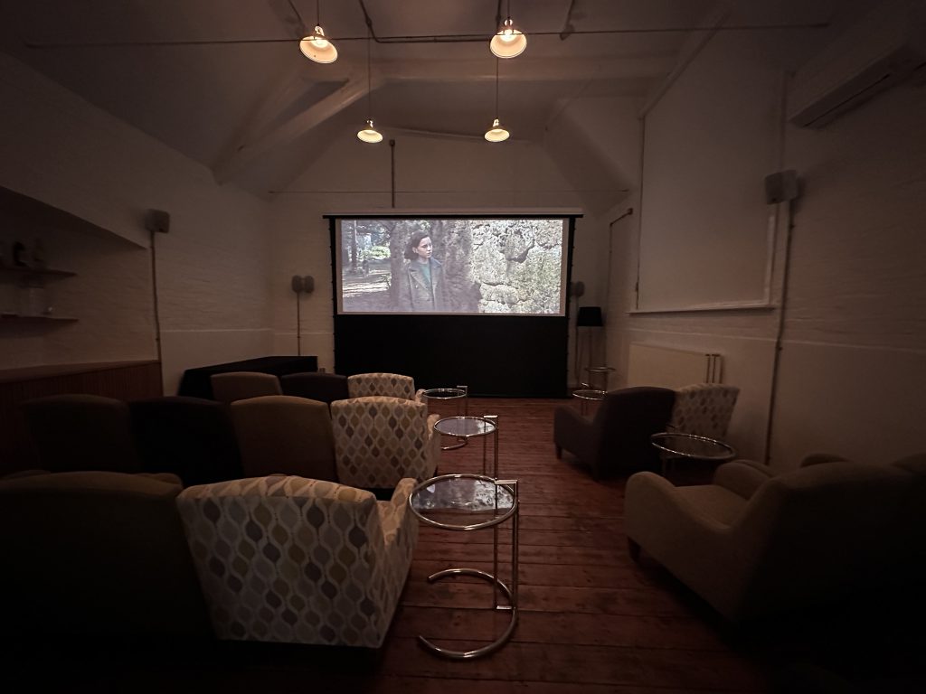 Third screen for the Kino | Rye News