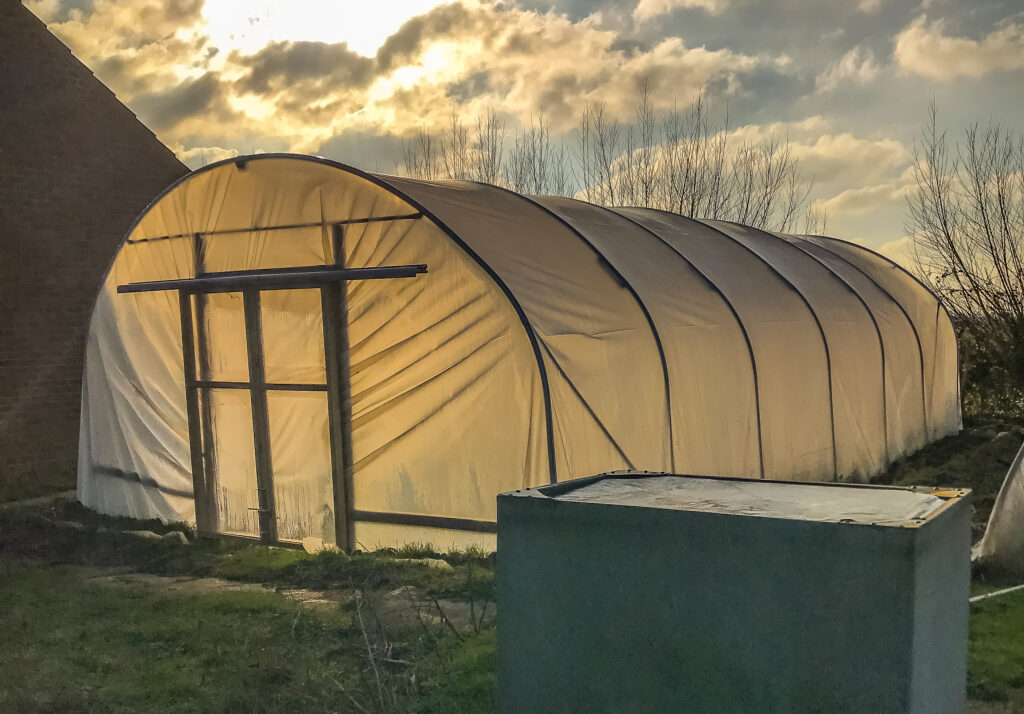 Old farmer’s almanac: polytunnel gardening | Rye News