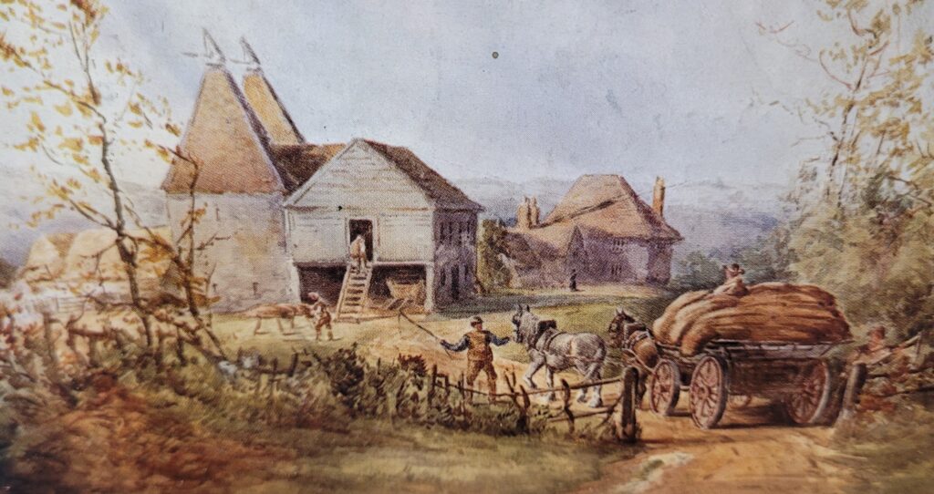 A history of Rye through museum objects | Rye News