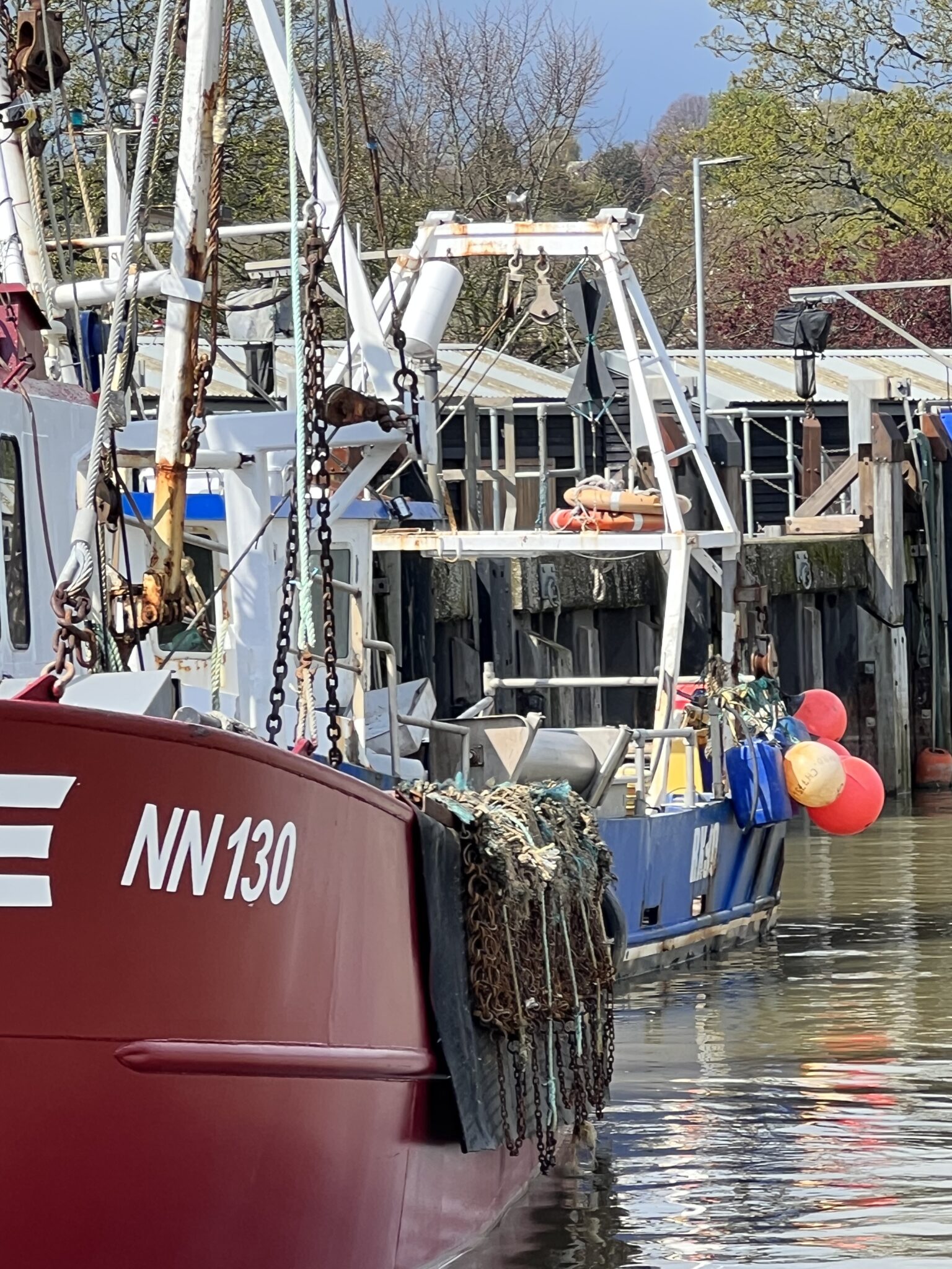Is this the future of fishing? | Rye News