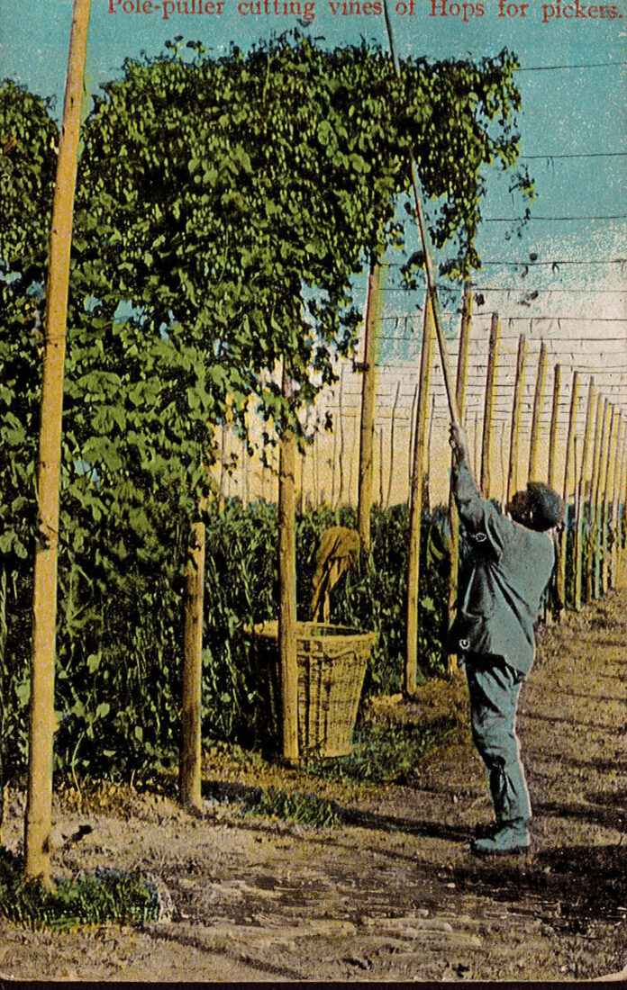 A history of Rye through museum objects | Rye News