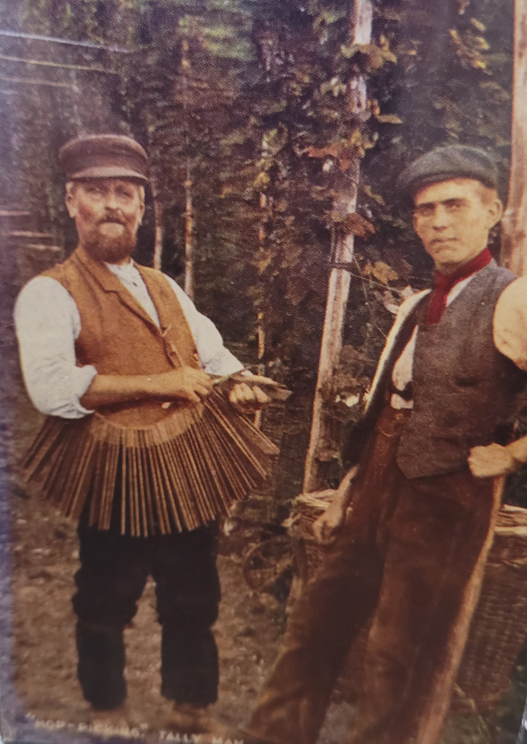 A history of Rye through museum objects | Rye News