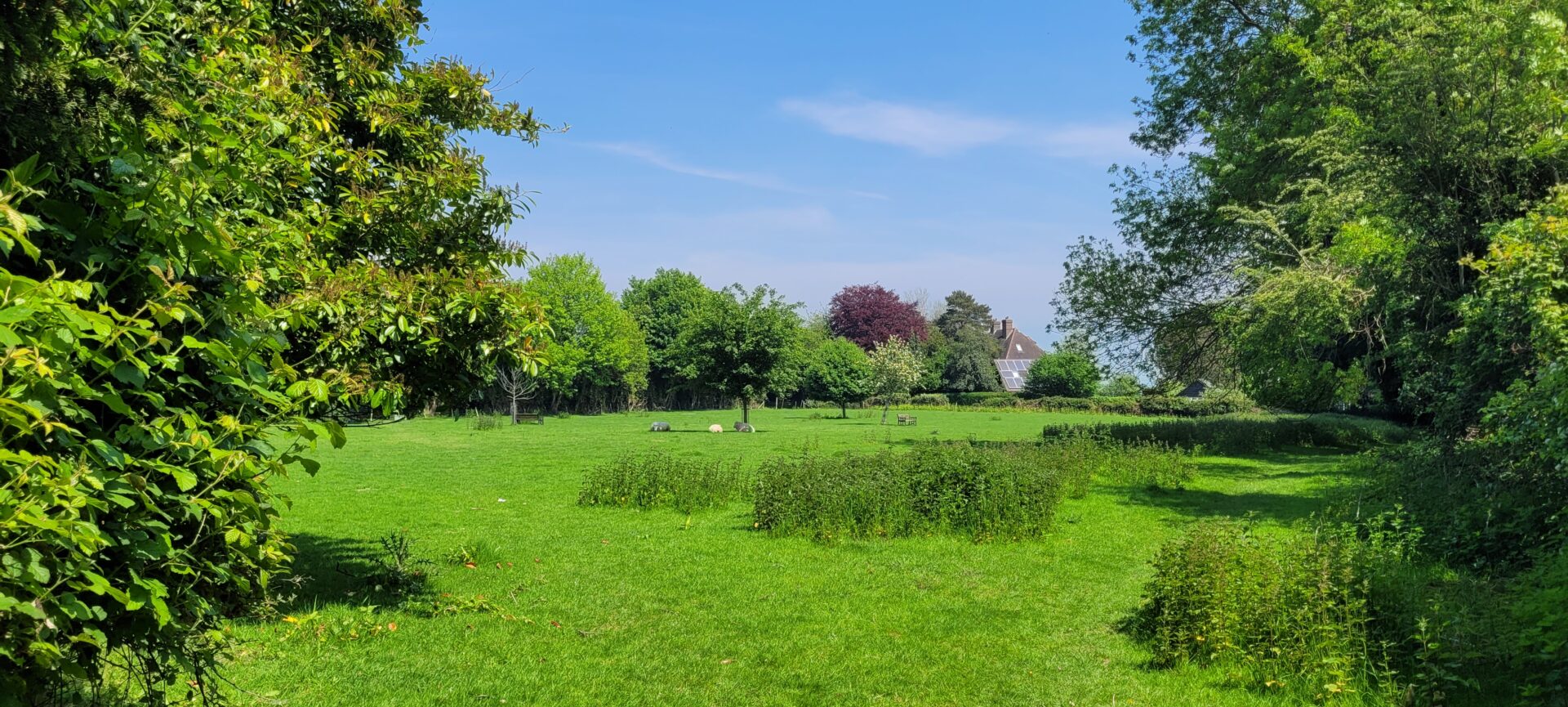 The history of Rye through museum objects | Rye News