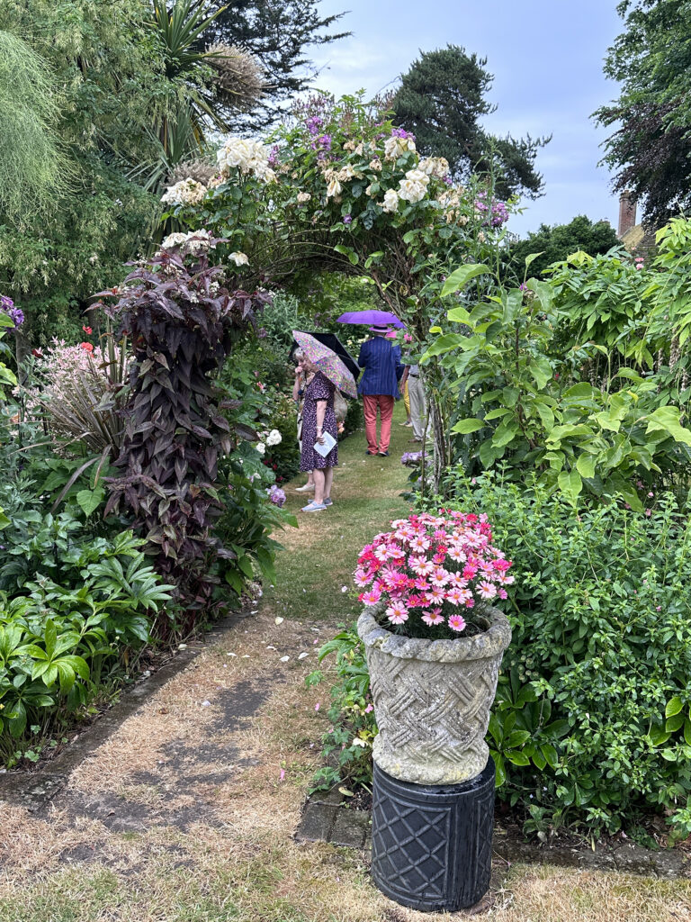 Winchelsea open gardens | Rye News