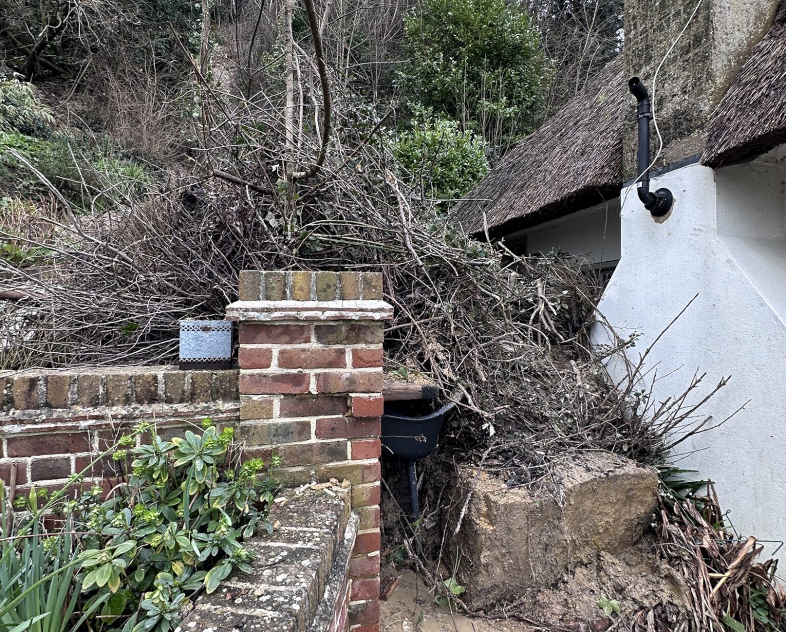 News in brief March 1 | Rye News