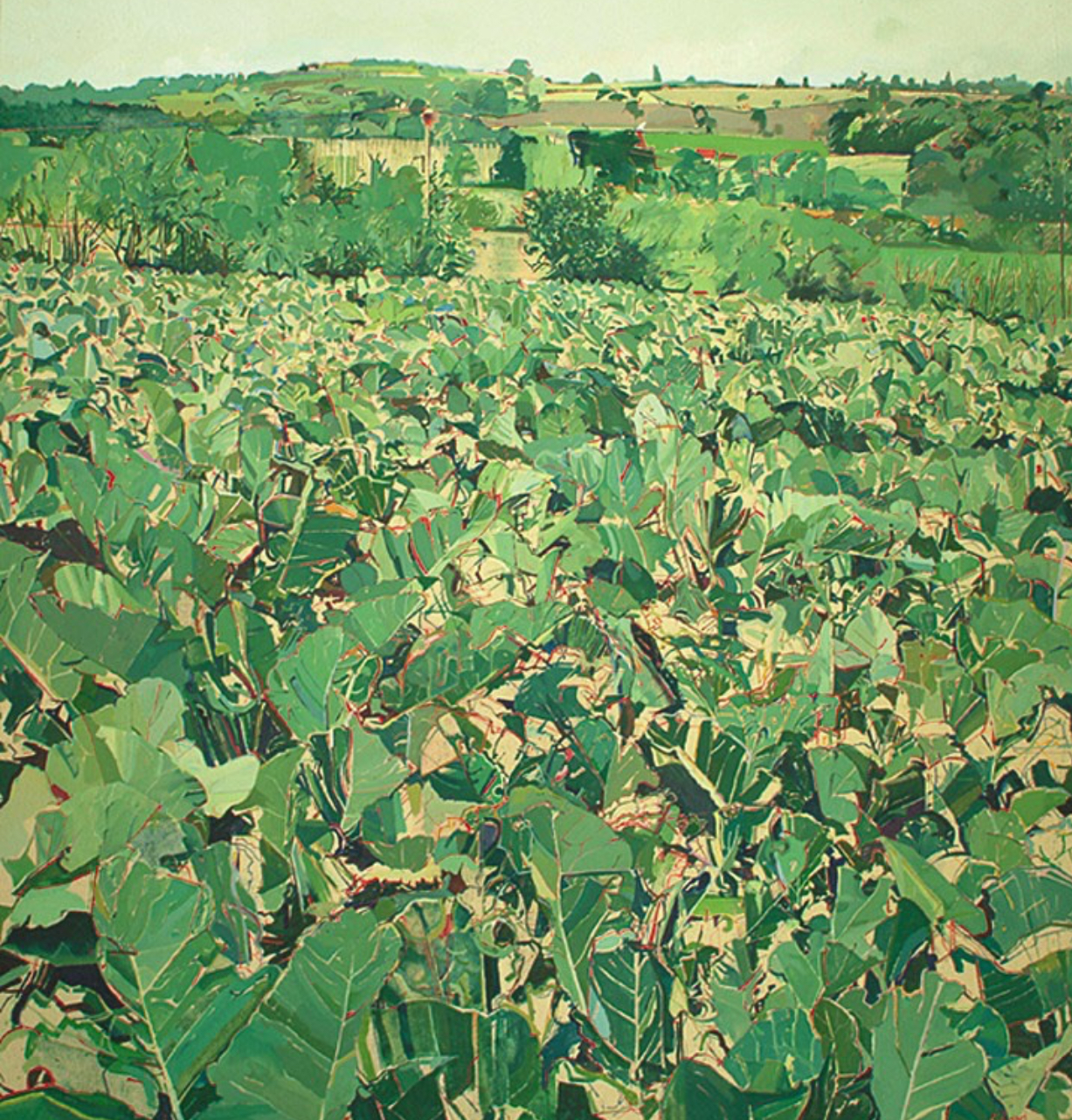 Rye Art Gallery artist in focus | Rye News