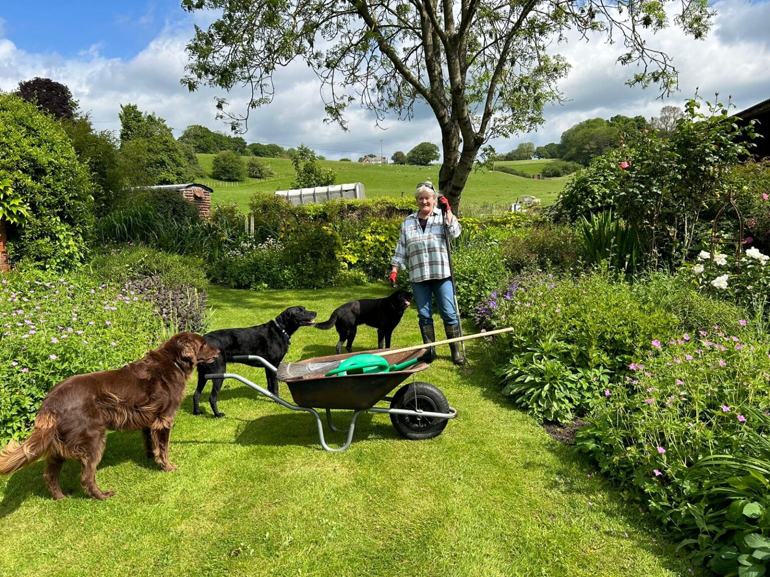 The joy of gardening | Rye News
