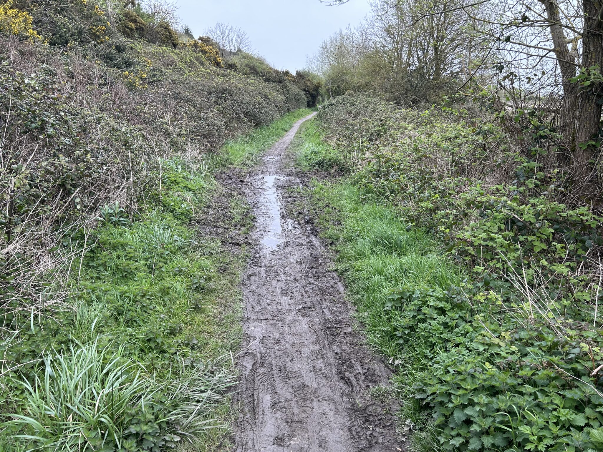 Cycle path closed for repairs | Rye News