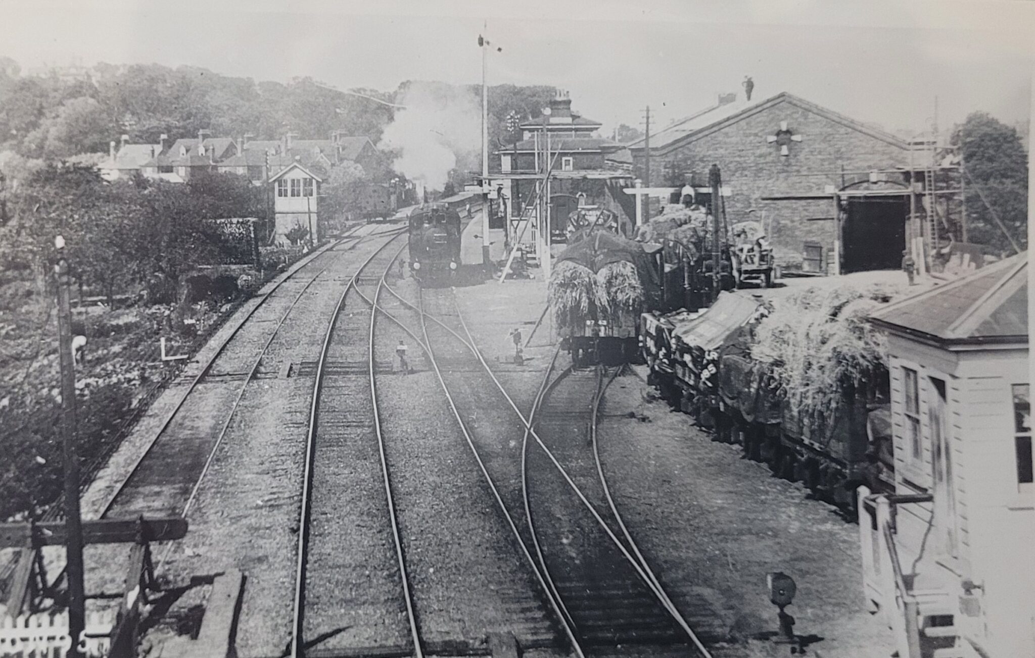The railway comes to Rye – museum photos from over a century ago | Rye News