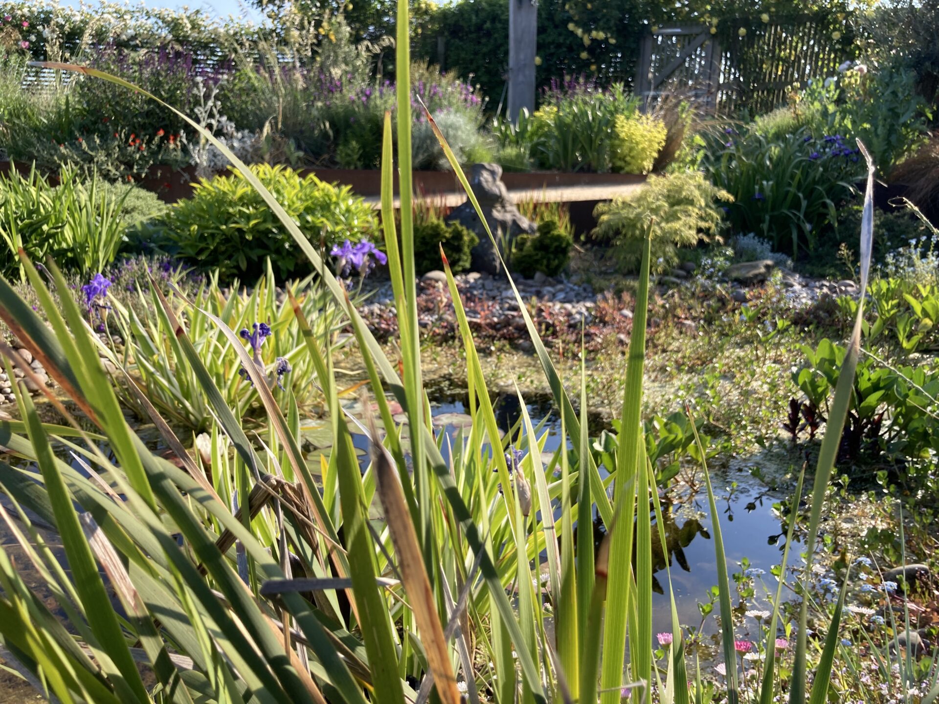 The secret gardens of Rye | Rye News