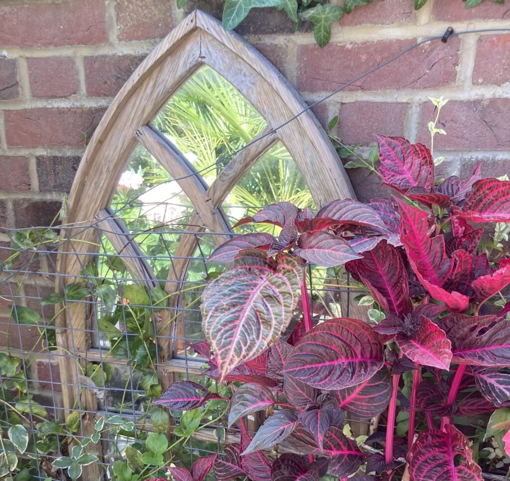 The secret gardens of Rye | Rye News