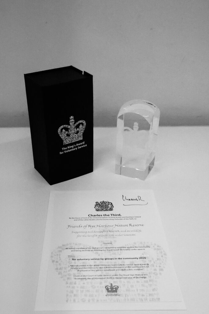 A prestigious award from the King | Rye News