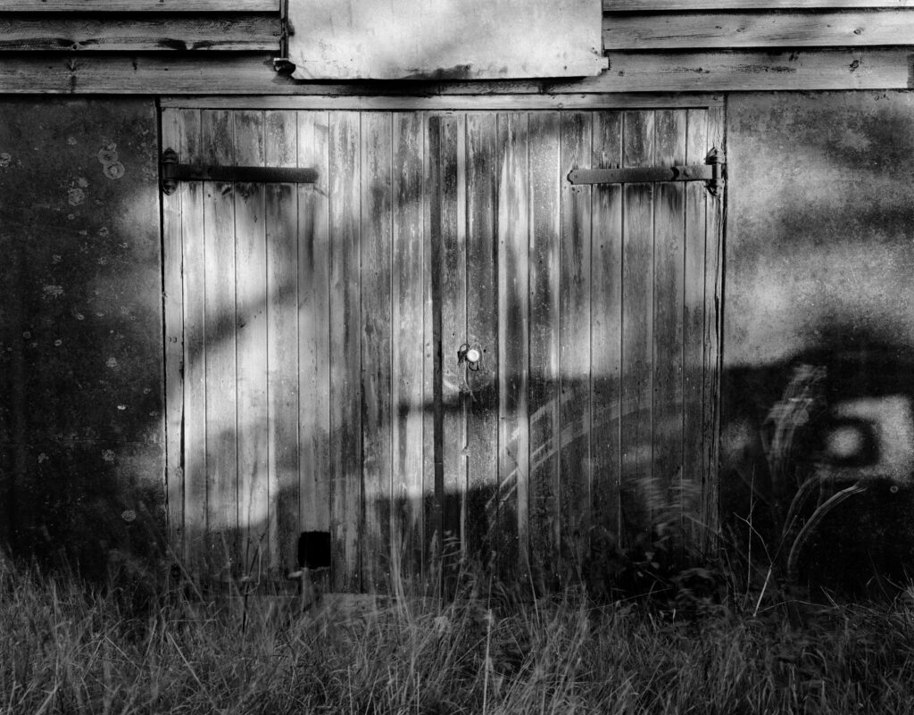 The beauty of things left behind | Rye News