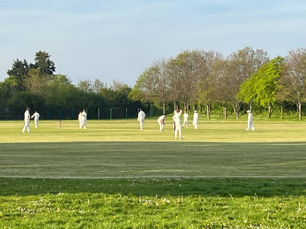 Cricket season gets underway | Rye News