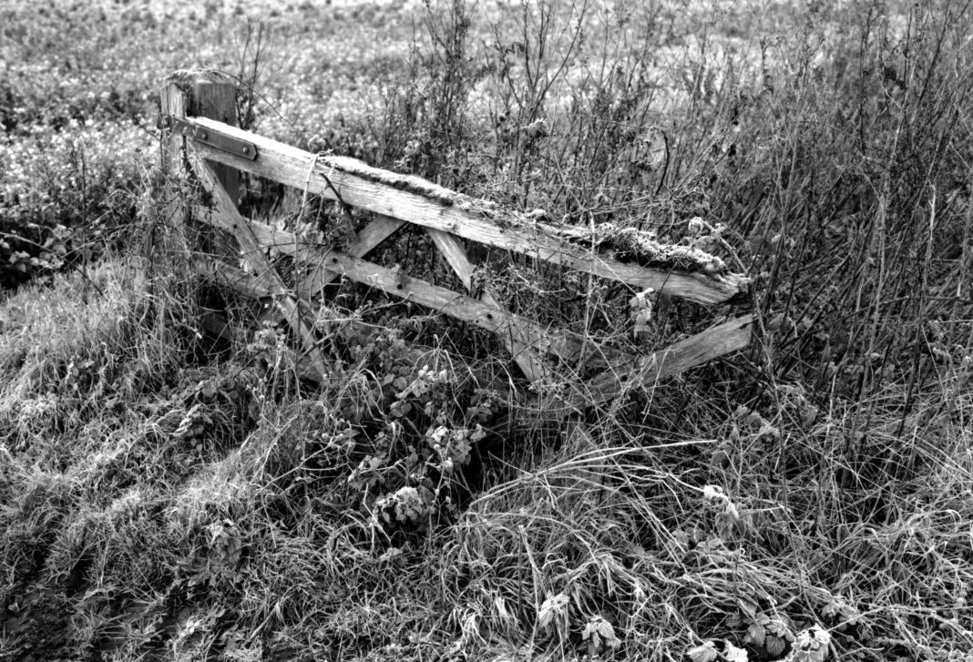 Capturing the spirit – the landscapes and artists of the marsh ...