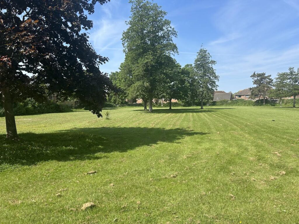 Plans for the playing fields | Rye News