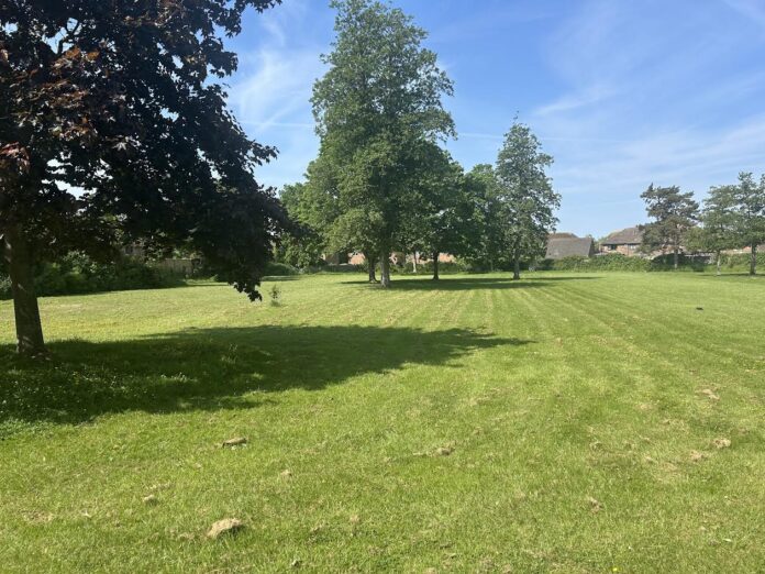 Plans for the playing fields | Rye News