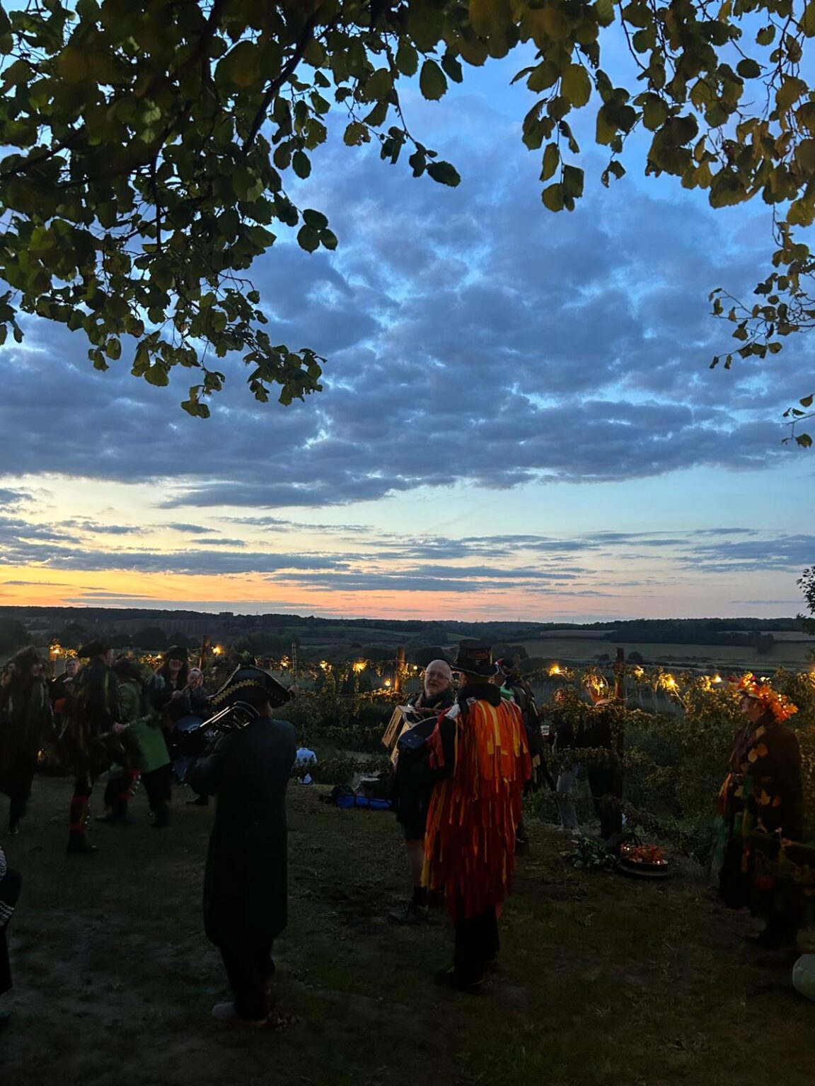Tibbs Farm Hop Fest 2025 | Rye News