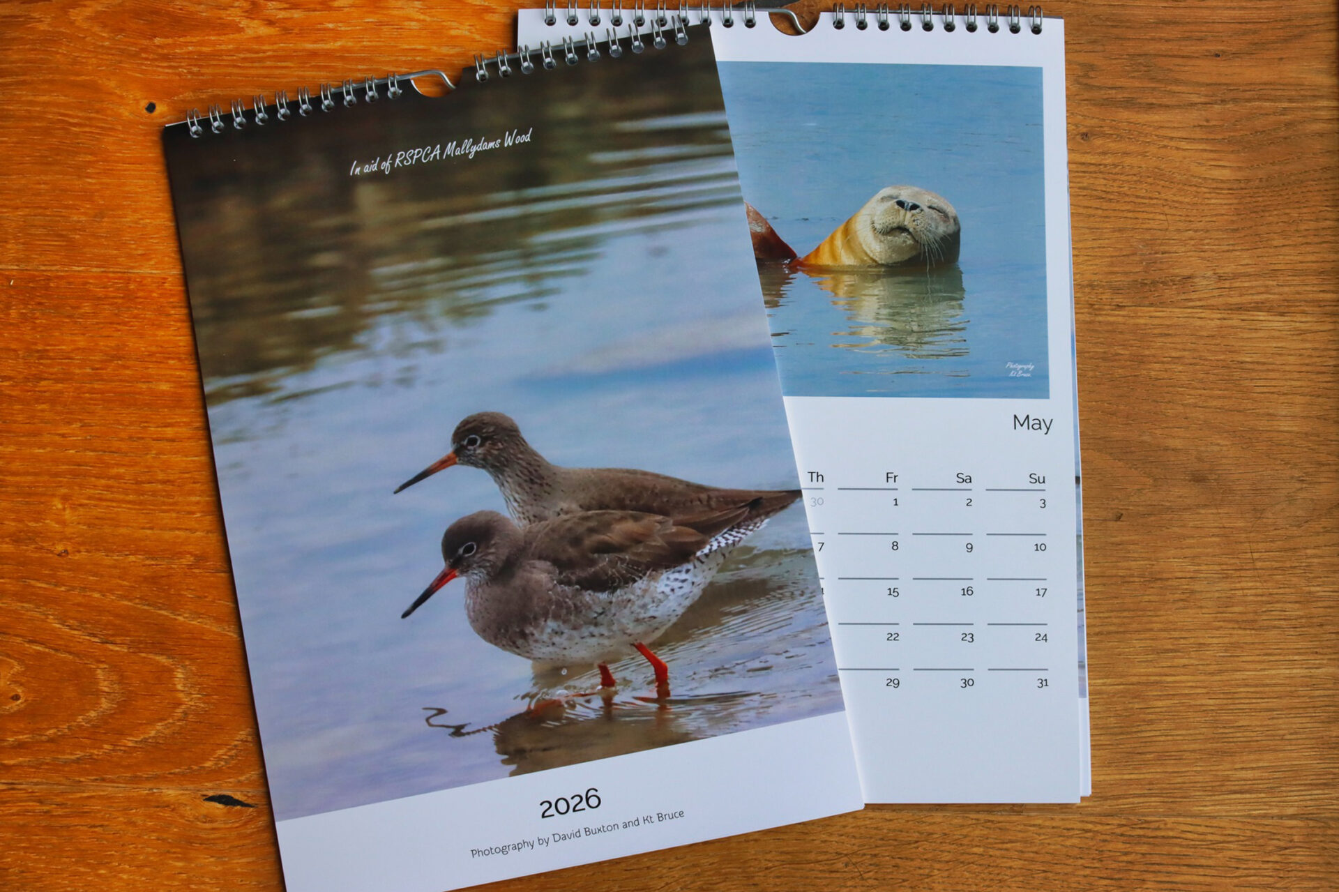 Calendar to raise funds for Mallydams | Rye News
