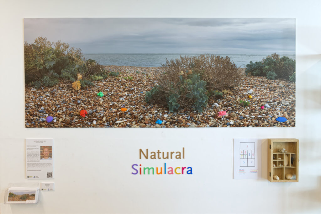 New installation at Rye Harbour | Rye News