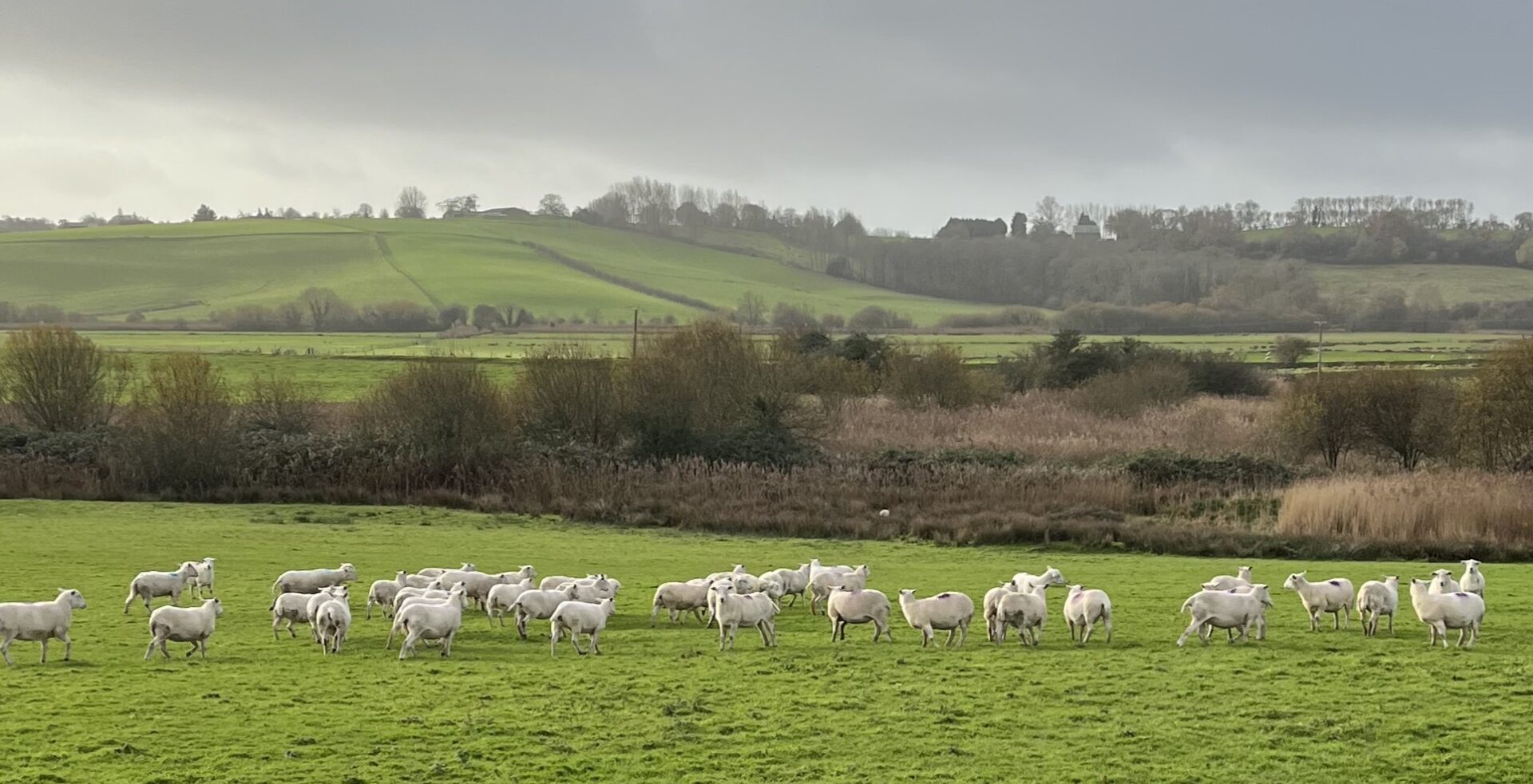 How farming created the local landscape | Rye News