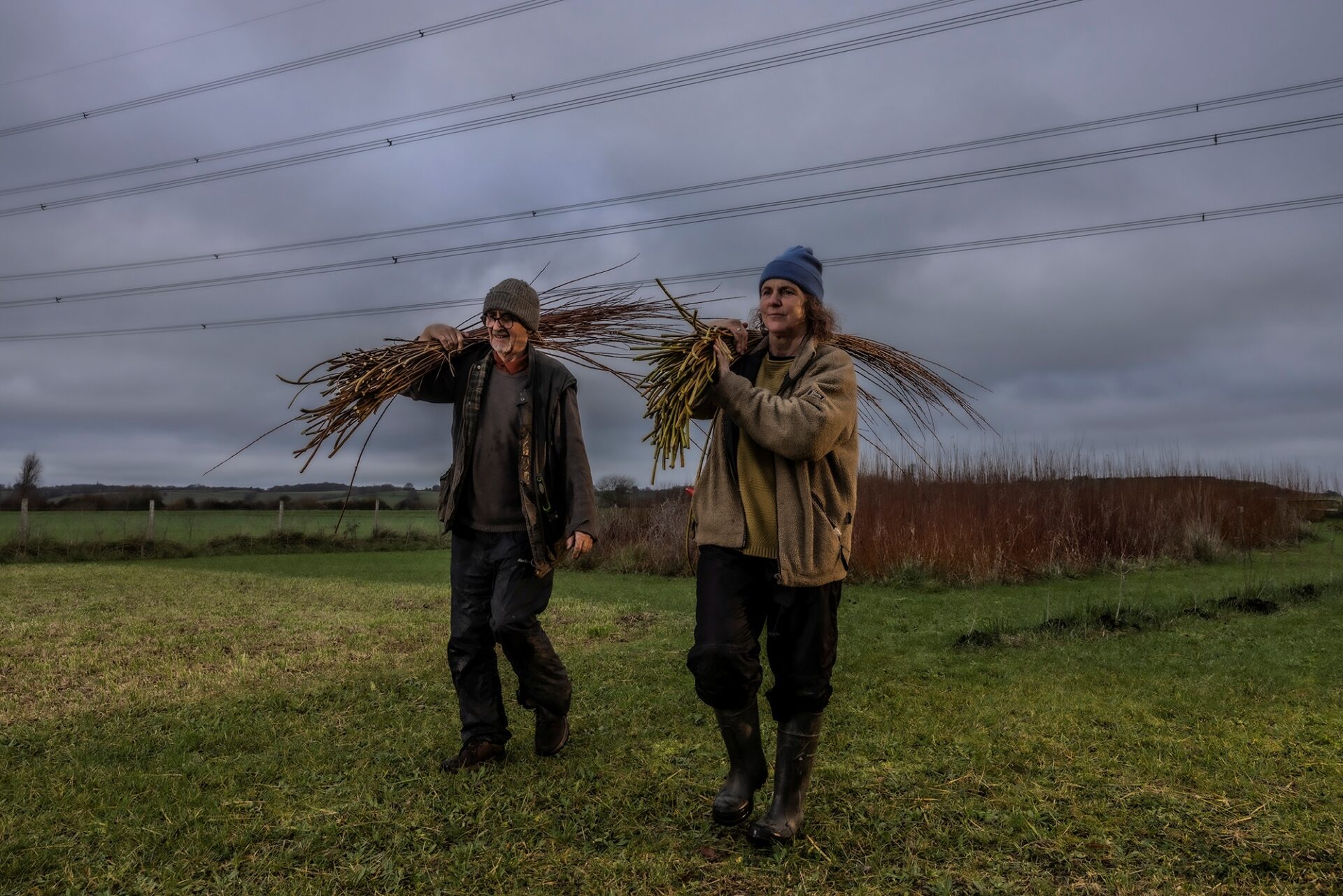 Winter willow harvest | Rye News