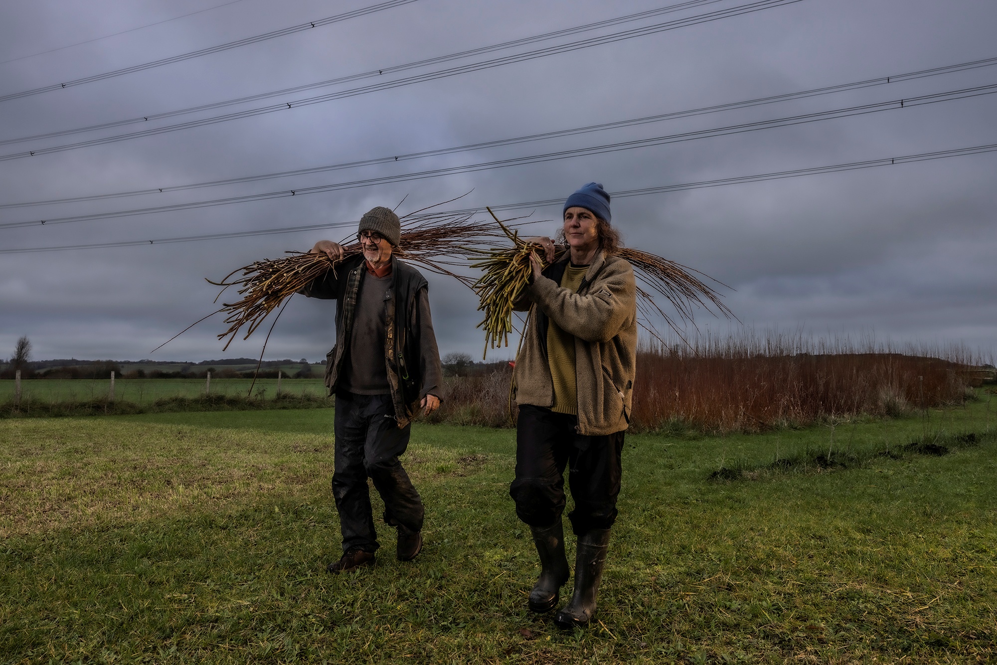 Winter willow harvest | Rye News